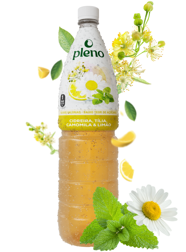 Pleno | Pleno