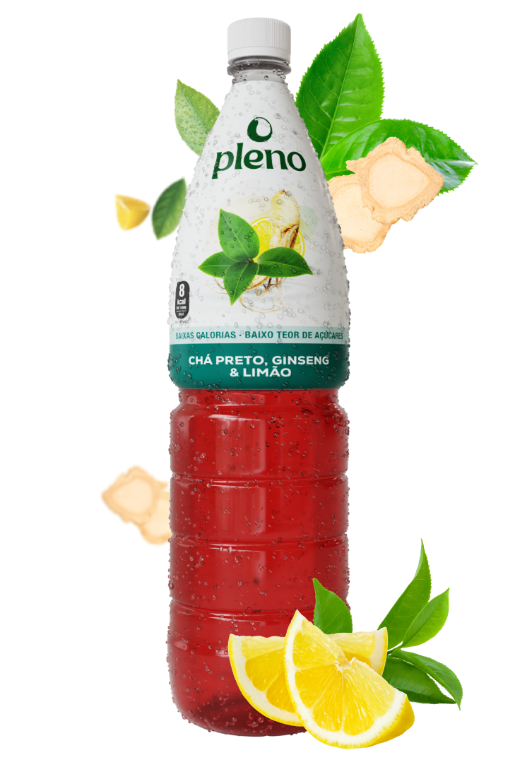 Pleno | Pleno